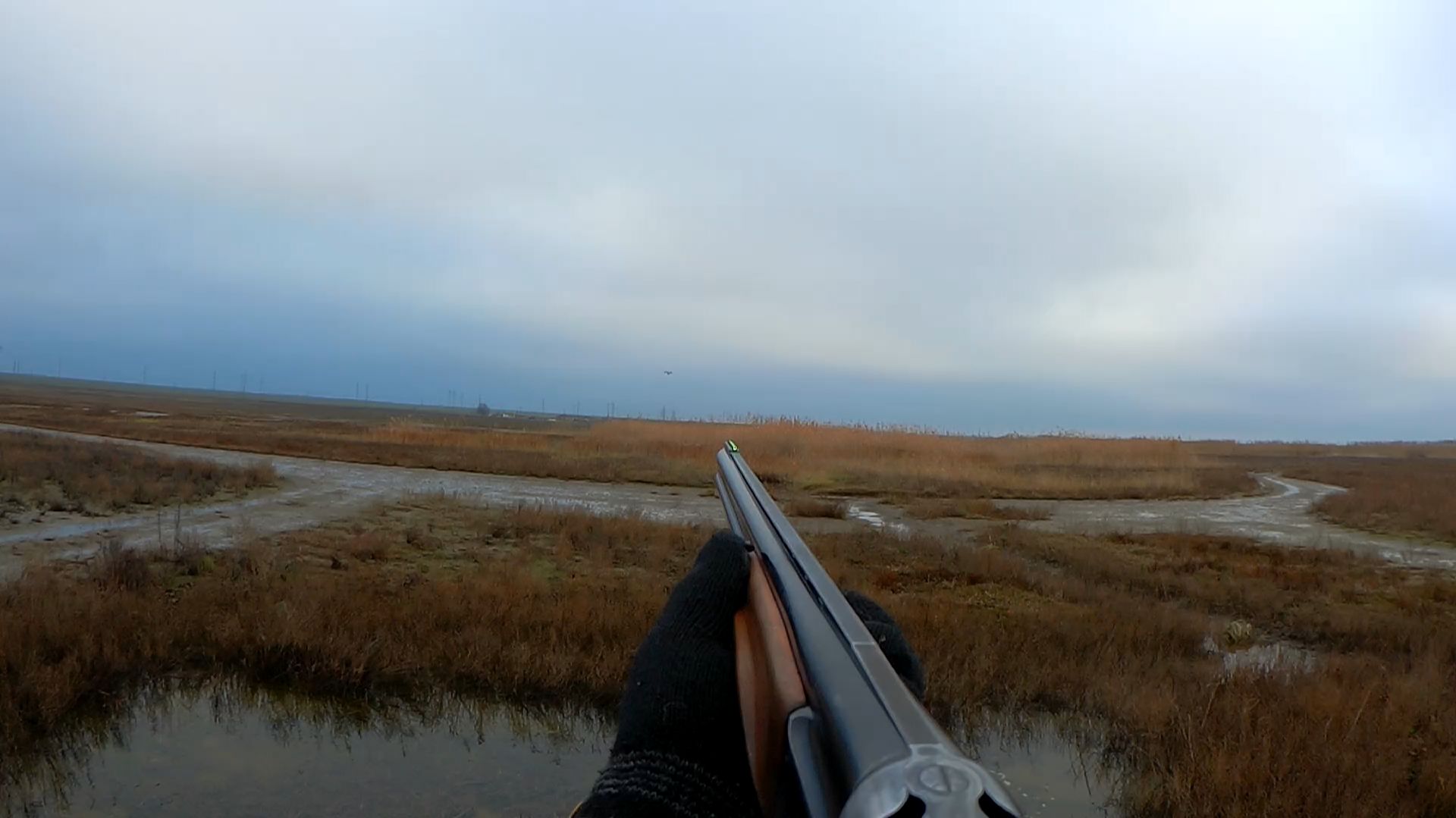 А УТКИ УЖЕ ЛЕТЯТ ВЫСОКО, Я ИМ ПО МАШУ РУКОЙ.. 2026