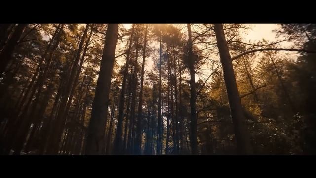 ОБЯЗАТЕЛЬНО К ПРОСМОТРУ Новые трейлеры фильмов 2026 — Предстоящие блокбастеры