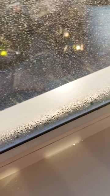 VID_20251215_090106 лоджия