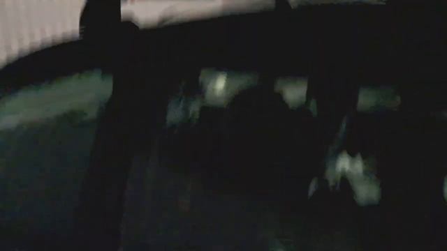 В Лужники в поддержку Путина/День 2/Воронежская область/НОД АНАПА