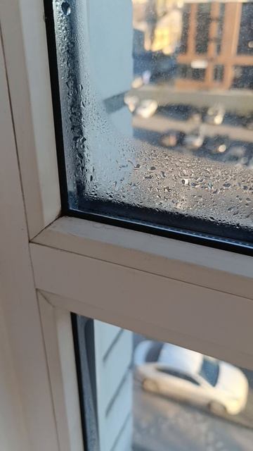 VID_20251215_090030 рама в конденсате