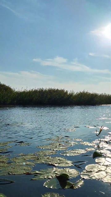 #путешествие #travel #псков #выходные #псковскаяжизнь #путешествияпороссии