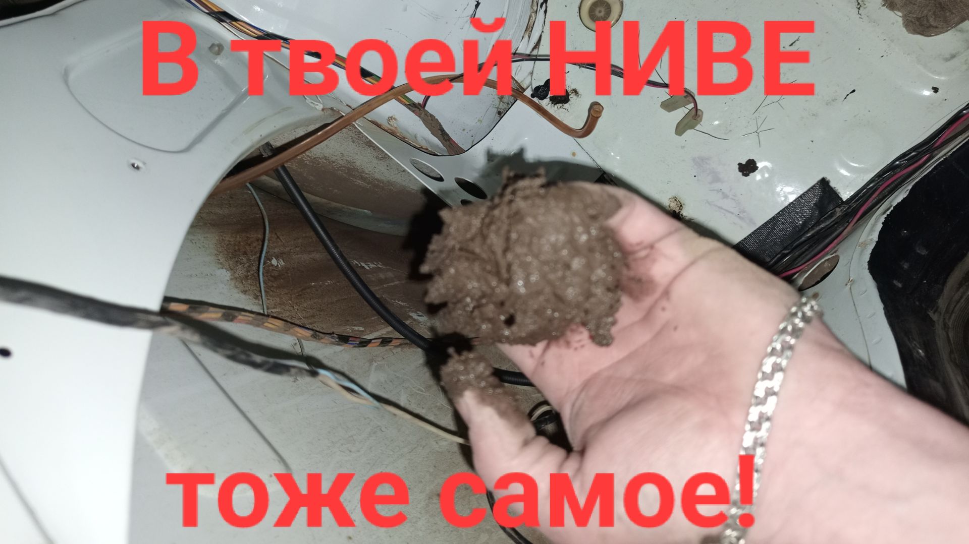 В твоей НИВЕ тоже самое!?