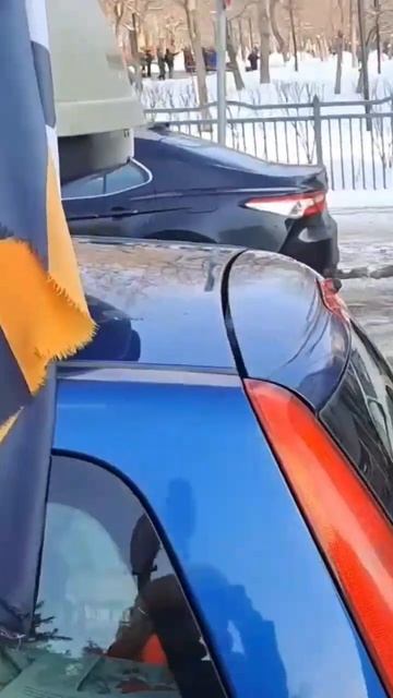 В Лужники в поддержку Путина/День 3/Метро Спортивная/Немецкая журналистка взяла у меня интервью