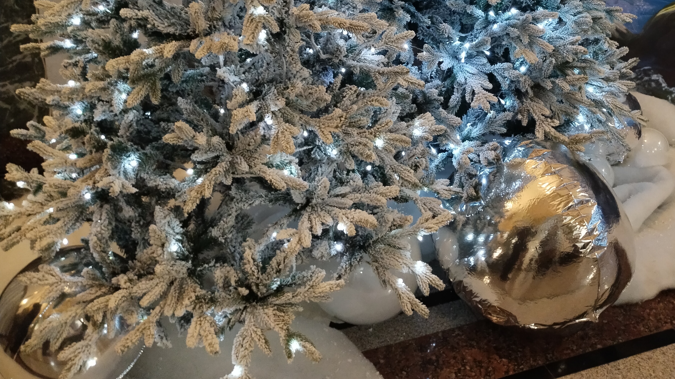 Рождественский концерт в театре оперы и балета