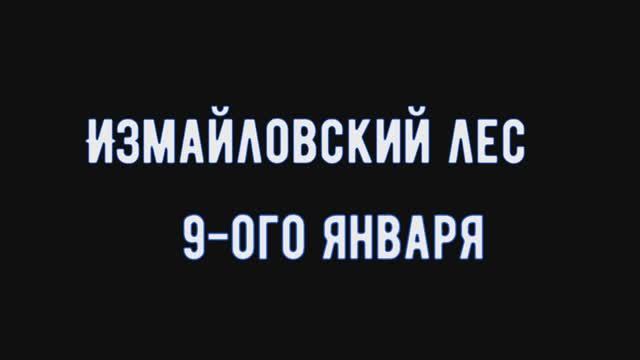 Что мы увидели днём 9-ого января в Измайловском лесу!?