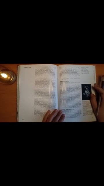 АСМР ЧТЕНИЕ 😴 ASMR 💤 полное видео на БУСТИ 👇🏼 по ссылке в описании