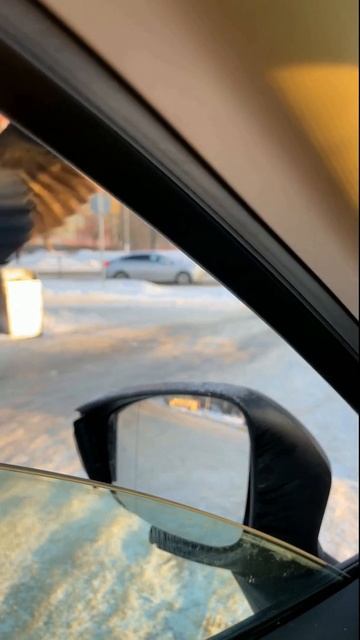 Атака голодных галок