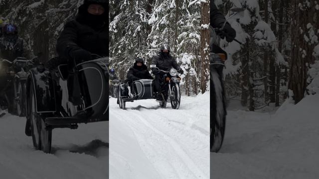 Моменты "Дедан" 2026