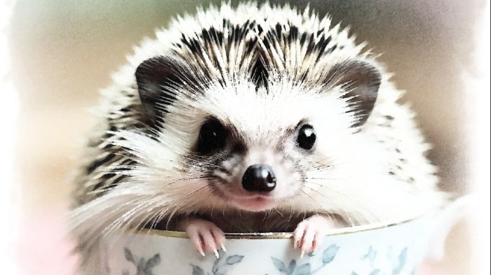 Доброта Олег Юргаев и ИИ