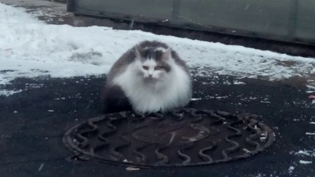 Пеннино "Почему"исп.Леонид С