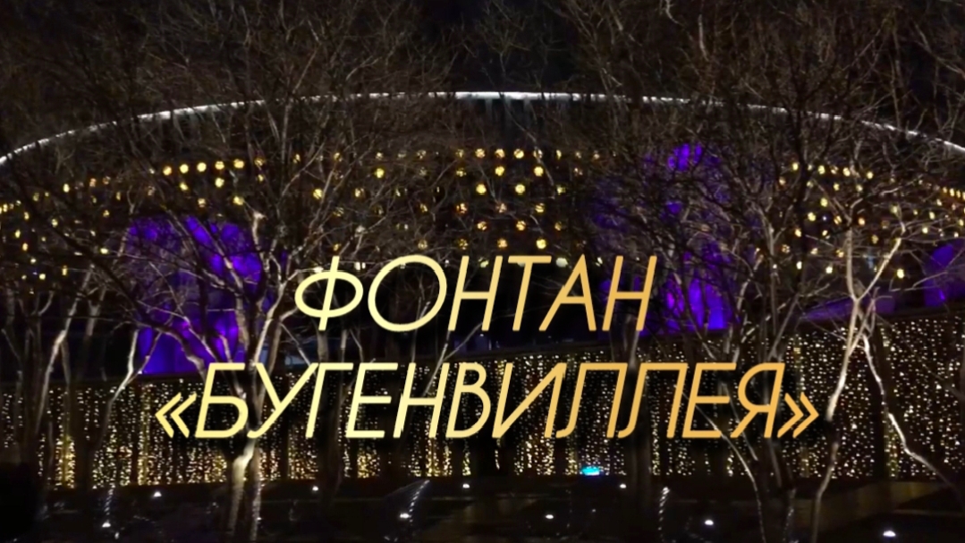 Новогодний Краснодар. Фонтан «Бугенвиллия» в вечерней подсветке✅