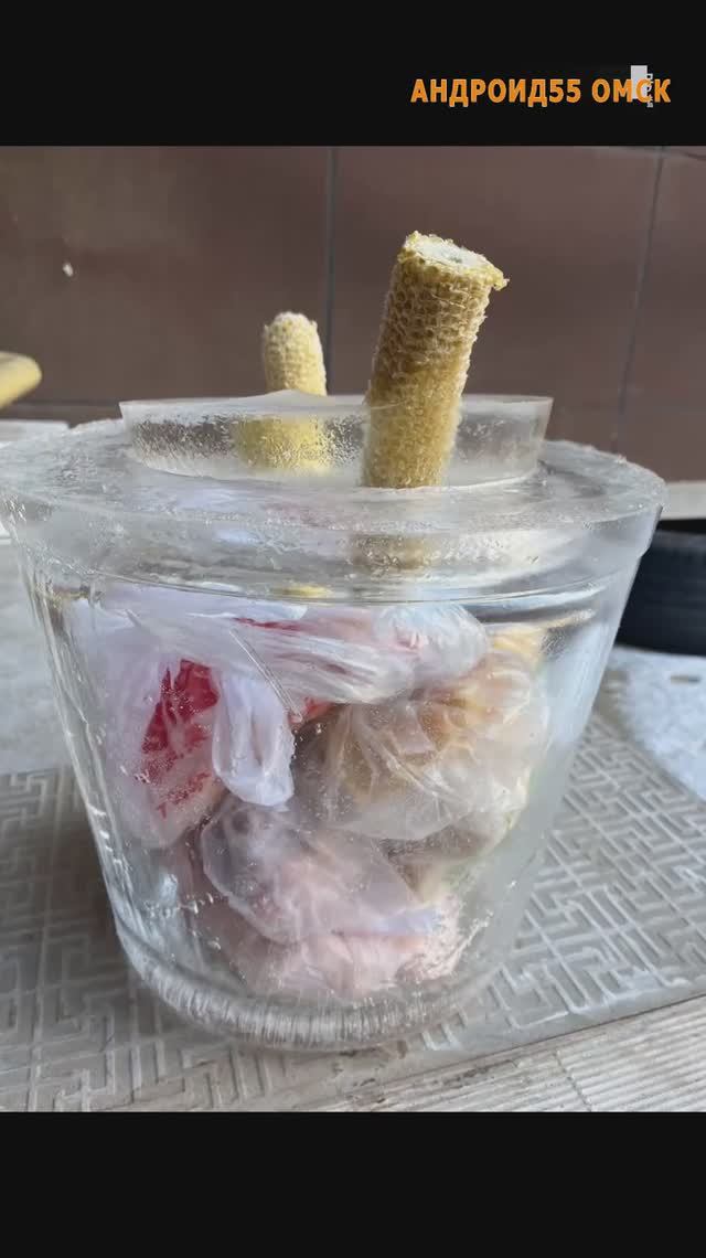 Как сделать ёмкость из льда для хранения продуктов😲🤪