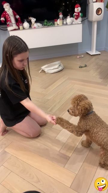 Сэр Ричард Попрошайкин .