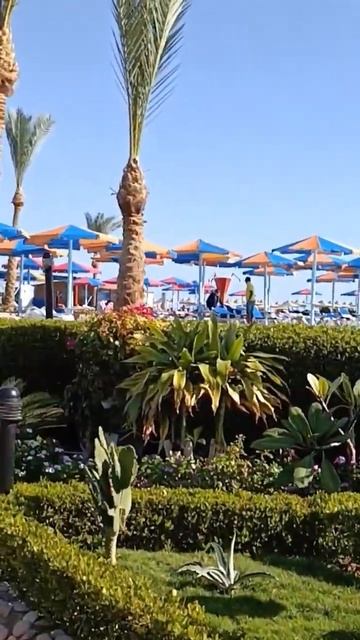 #egypt #египет #хургада #египетзимой #travel #путешествия #путешествие