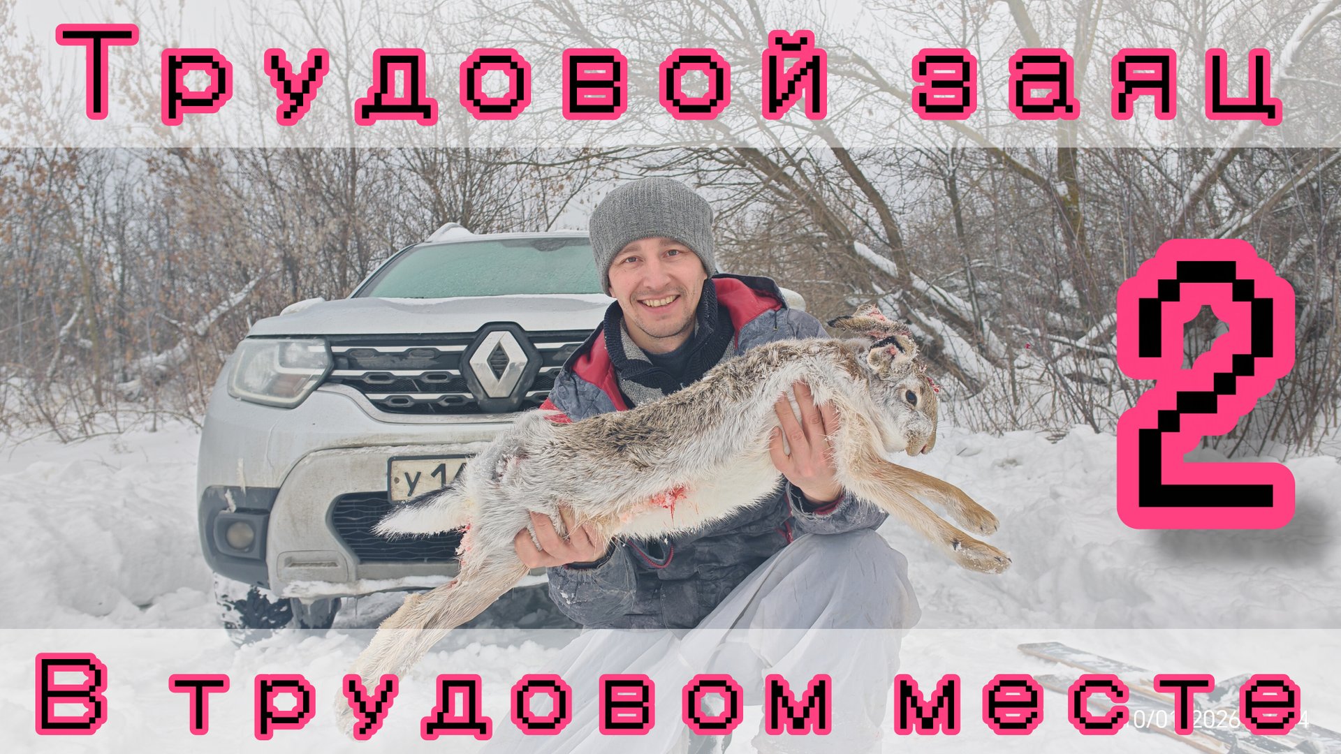 260-Трудовой заяц в трудовом месте 2