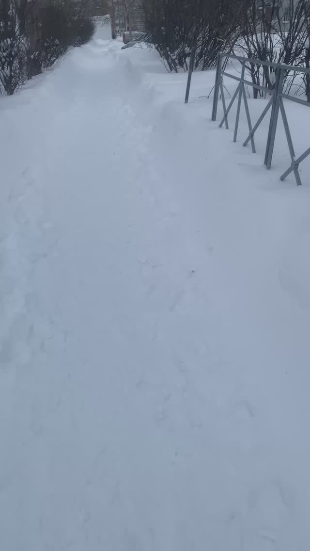 Много снега