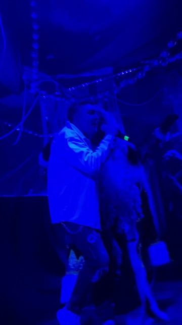 Москва 20.12.2025 - Новый год #чернильноенебо #стекловата #новыйгод #студиясергеякузнецова