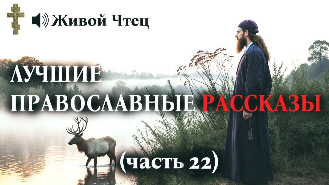 ЛУЧШИЕ ПРАВОСЛАВНЫЕ РАССКАЗЫ часть 22