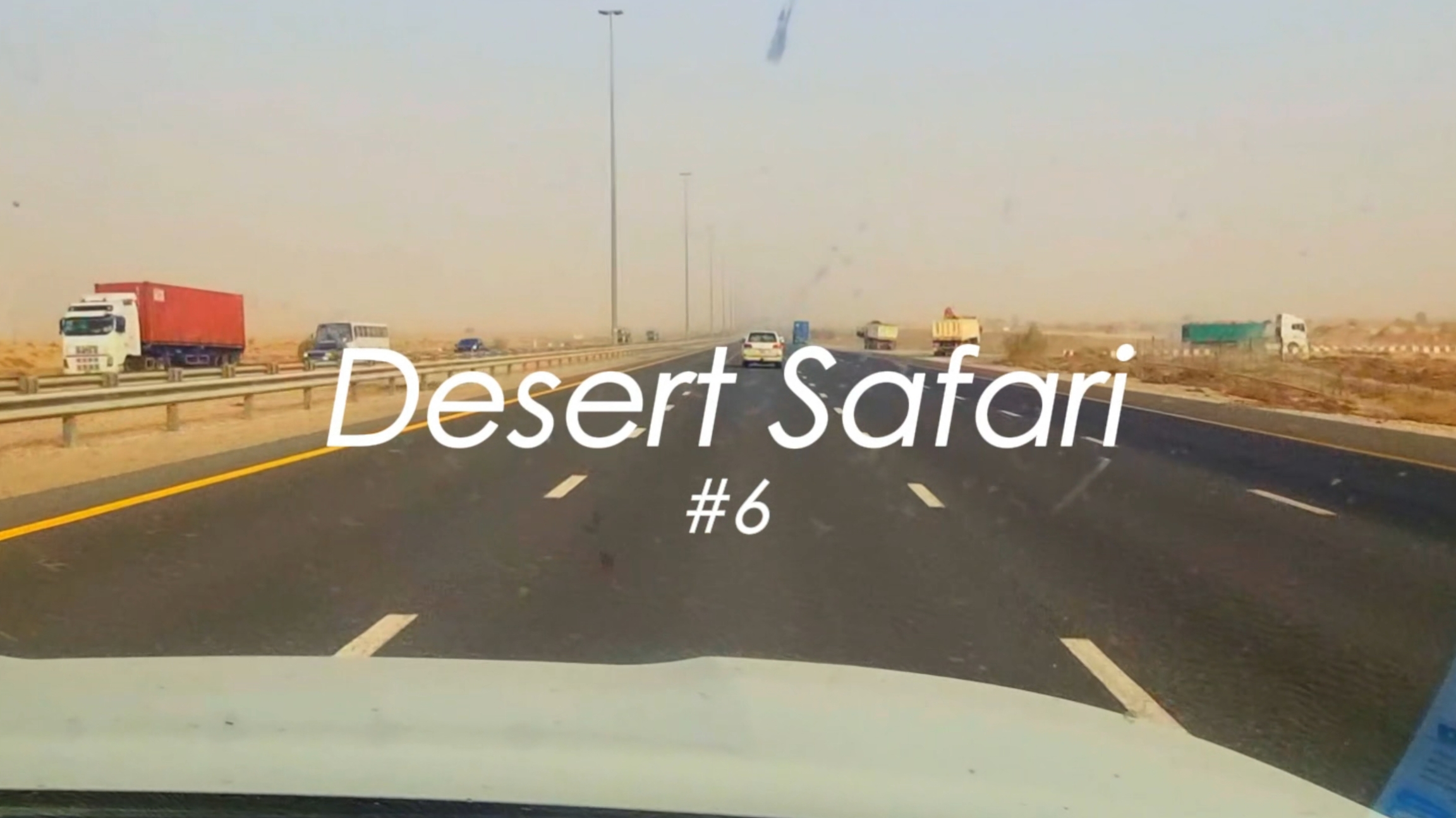 Desert Safari. Dubai #6