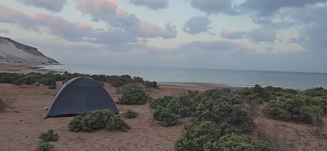 Утро на Сокотре (Йемен), дикая природа, что на завтрак?