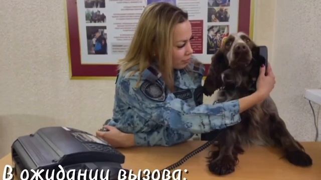 При обнаружении подозрительного предмета...