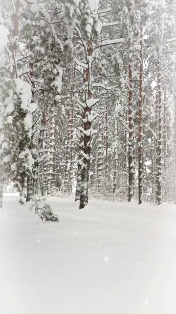 Зимняя сказка.