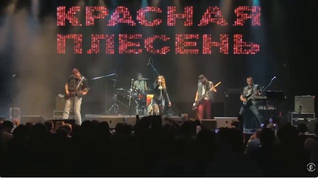 Он лучше всех знал, как всё делать... Правда, ничего у него не получалось.