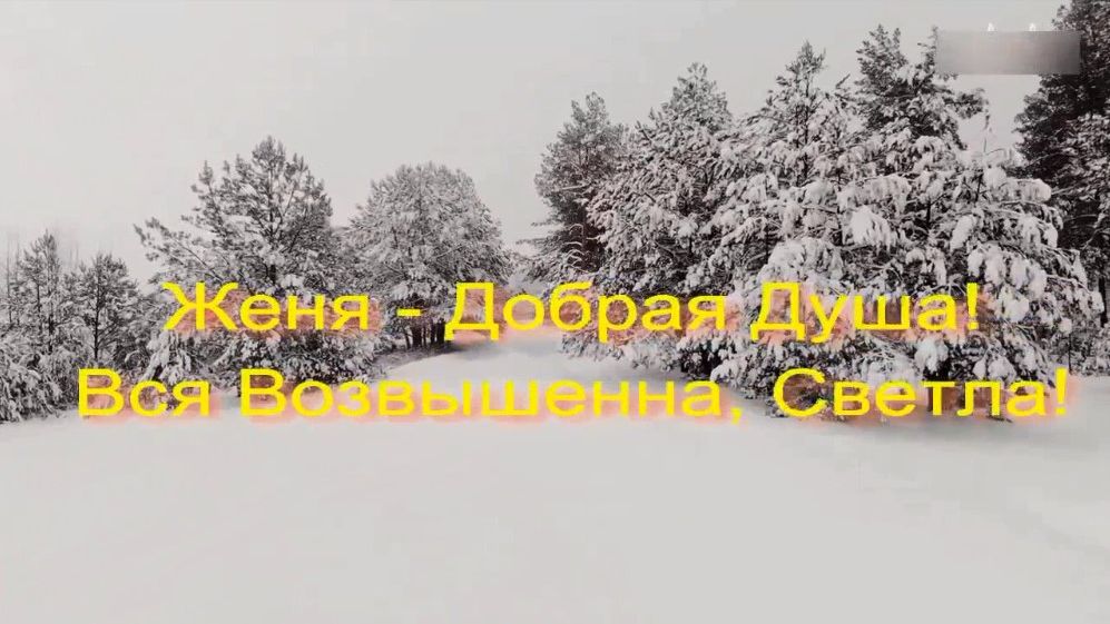 Женя - добрая душа. Стихи и читает - Е.Кузьмина, монтаж и генерация песни в ИИ - Е.Доставалов