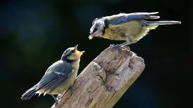 6  Обсуждение темы №2 "Покаяние и единство. Борьба с Богом" - ч.1