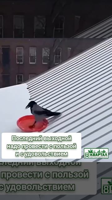 Главный лайфхак последнего выходного