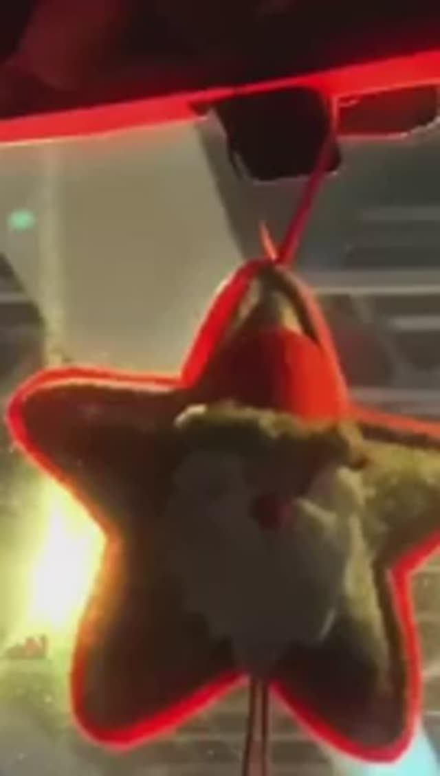 Адвайзеры.рф | Один рабочий день | Крокус Экспо | ЭкспоШоу.рф