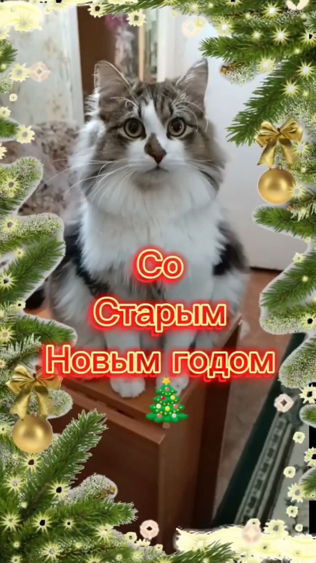 Со Старым новым годом 🎄