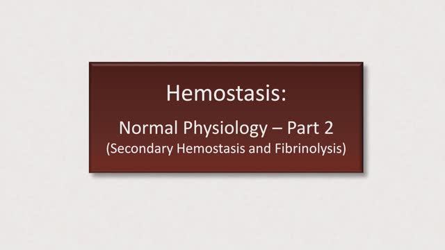 3_Hemostasis - Coagulation Cascade and Fibrinolysis Eric Strong