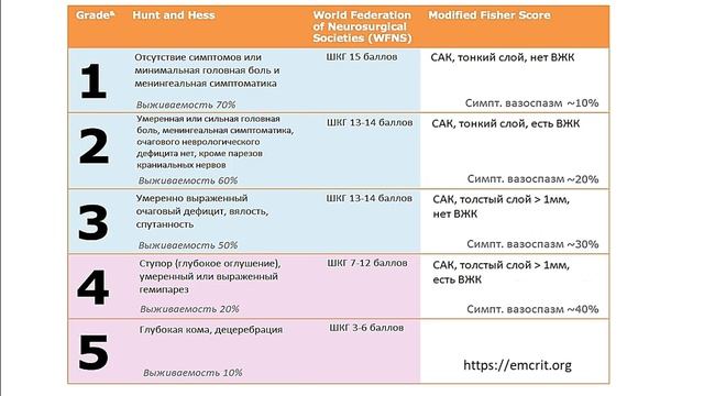Профилактика и лечение Вазоспазма при Аневризматическом САК Савин И.А. 2025