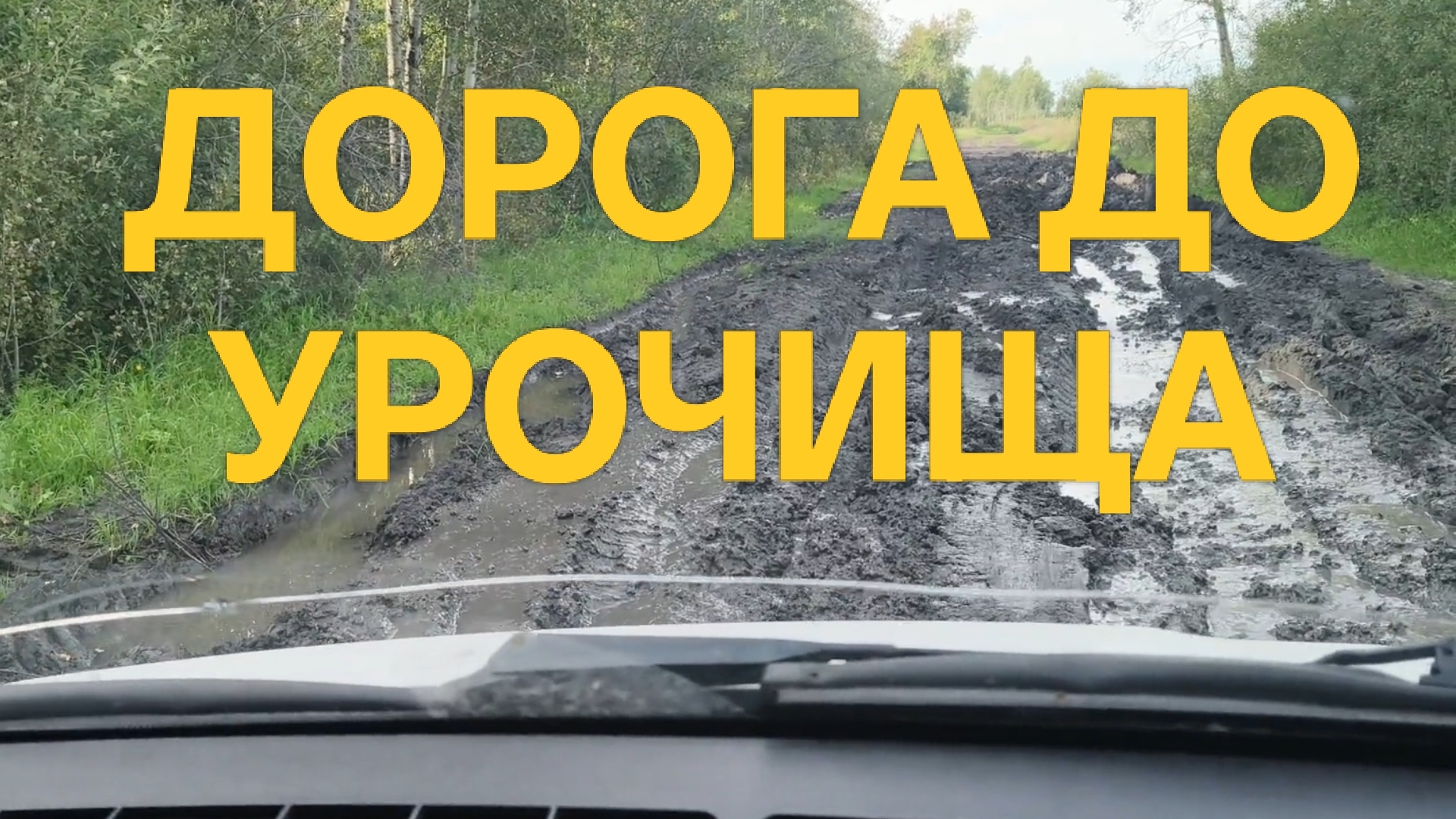 Дорога на урочище и обратно #поискмонет #монеты #equinox900 #equinox #minelab #40