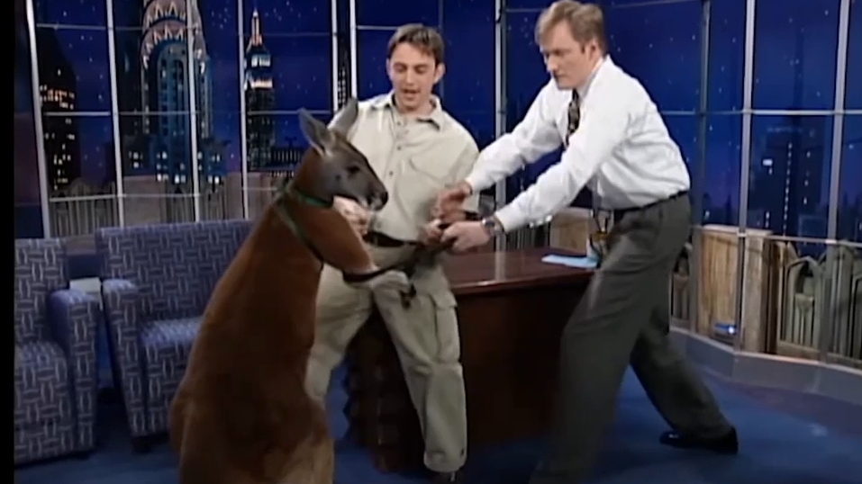 Эксперт по животным Джарод Миллер: случай с кенгуру в конце видео, очень смешно