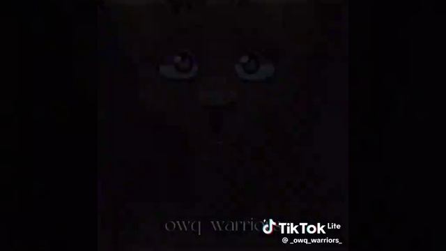 Коты воители. Синяя звезда