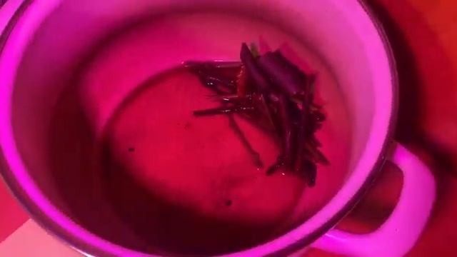 Энзимы. Симбионты жизни. Окончание.