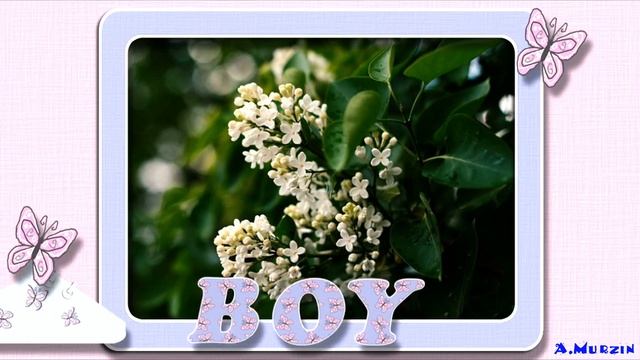 Stive Morgan - Atomic