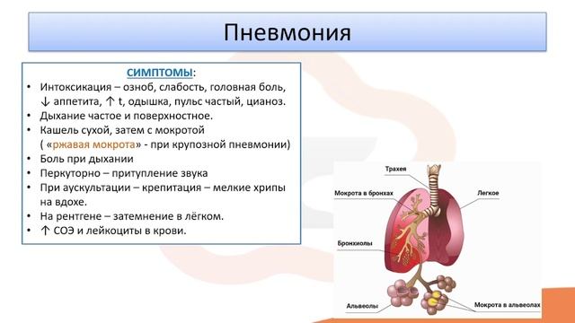 Лекция 4.3 Пневмония