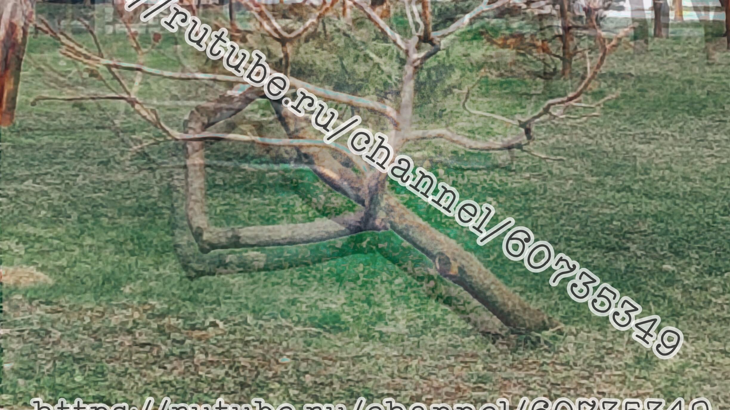 Сборник мемов №5. Юбилейный сборник! 🎉📘