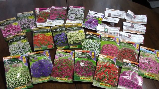 08.01.2026 г. Волгоград. Обзор сортов петуний