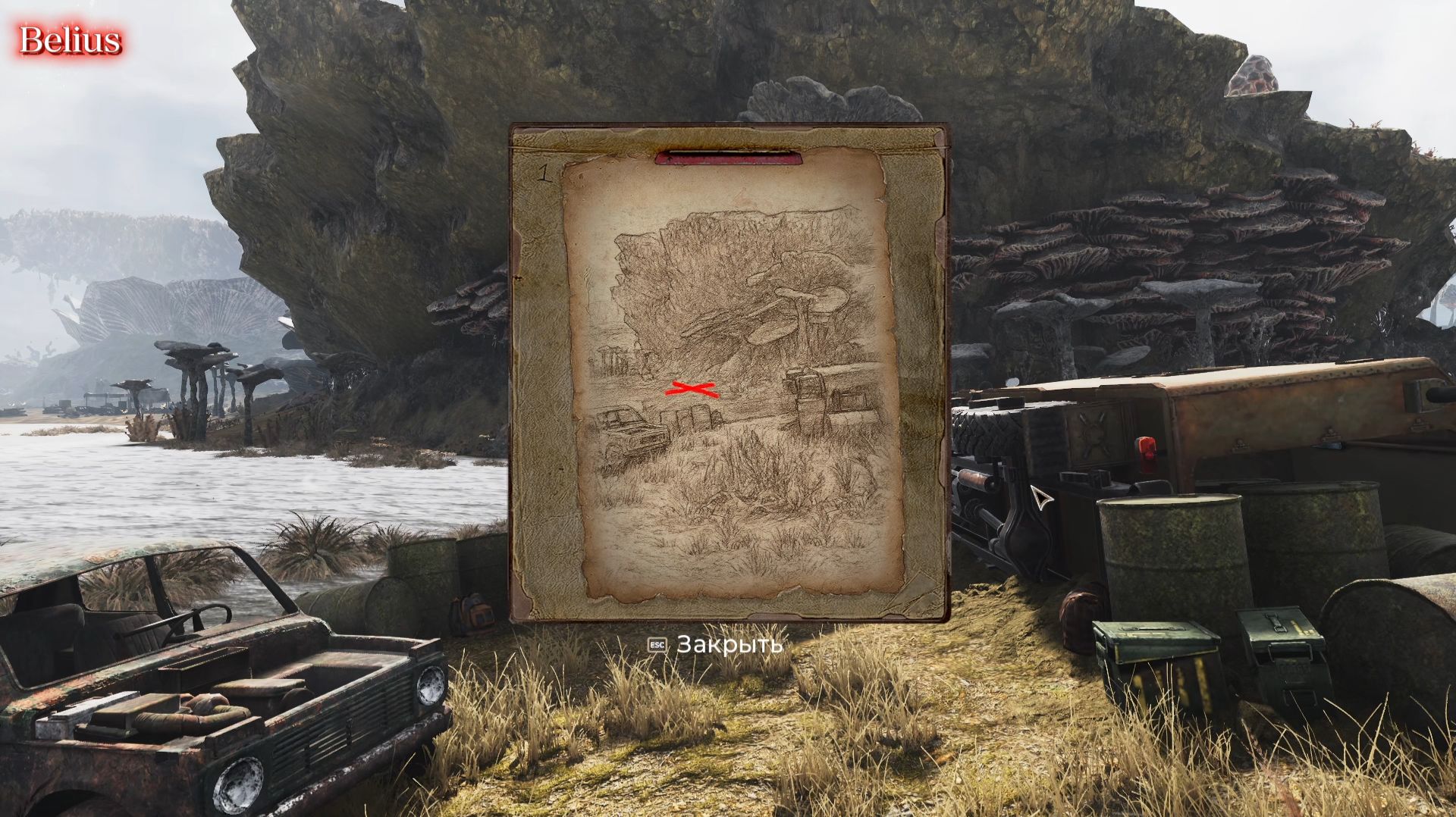 КАРТА СОКРОВИЩ ГРИБНАЯ РАВНИНА... ГДЕ ИСКАТЬ? PIONER