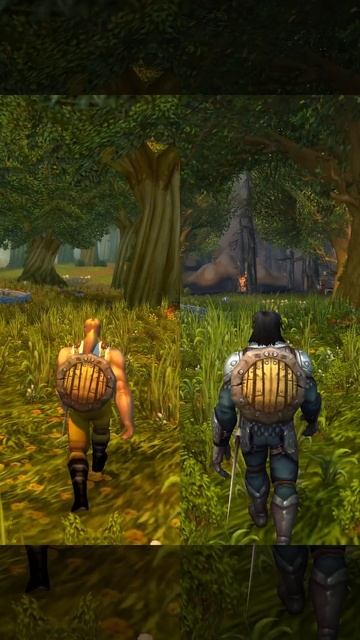 World of Warcraft - Классика против ретейла, сравнение #worldofwarcraft  #wow