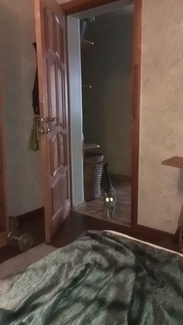 ВАСЯ приносит игрушку