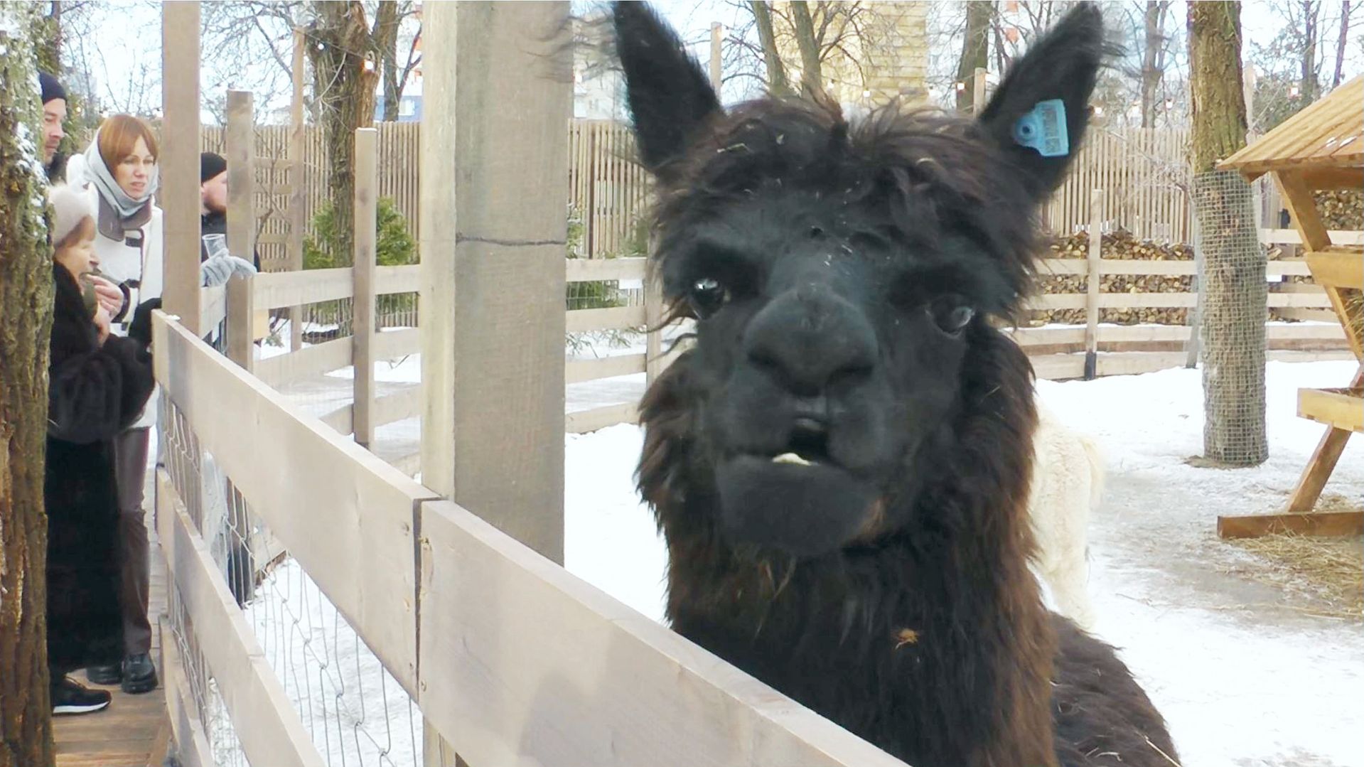 Деревня Альпаково