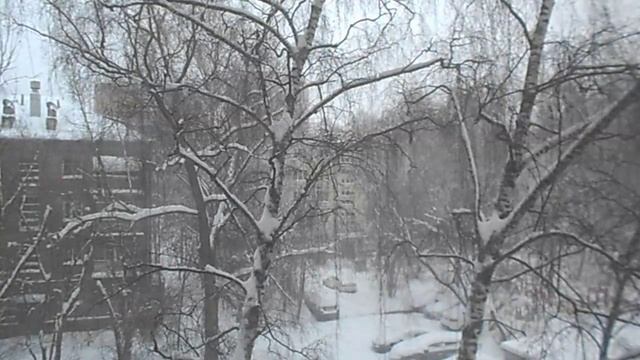 Снегопад. Московская область. 9 января 2026. 93e6-69ff5db807bb