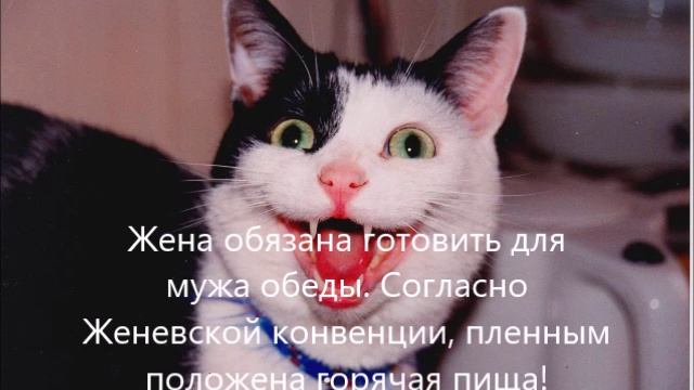 Анекдотцы - 11 🤣