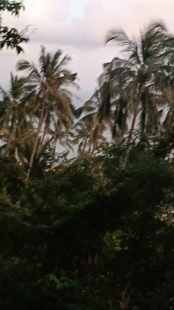 По пути к обзорной площадке Hua Thanon Bay View, Самуй, Таиланд (Way to Hua Thanon Bay, Samui, Thai)